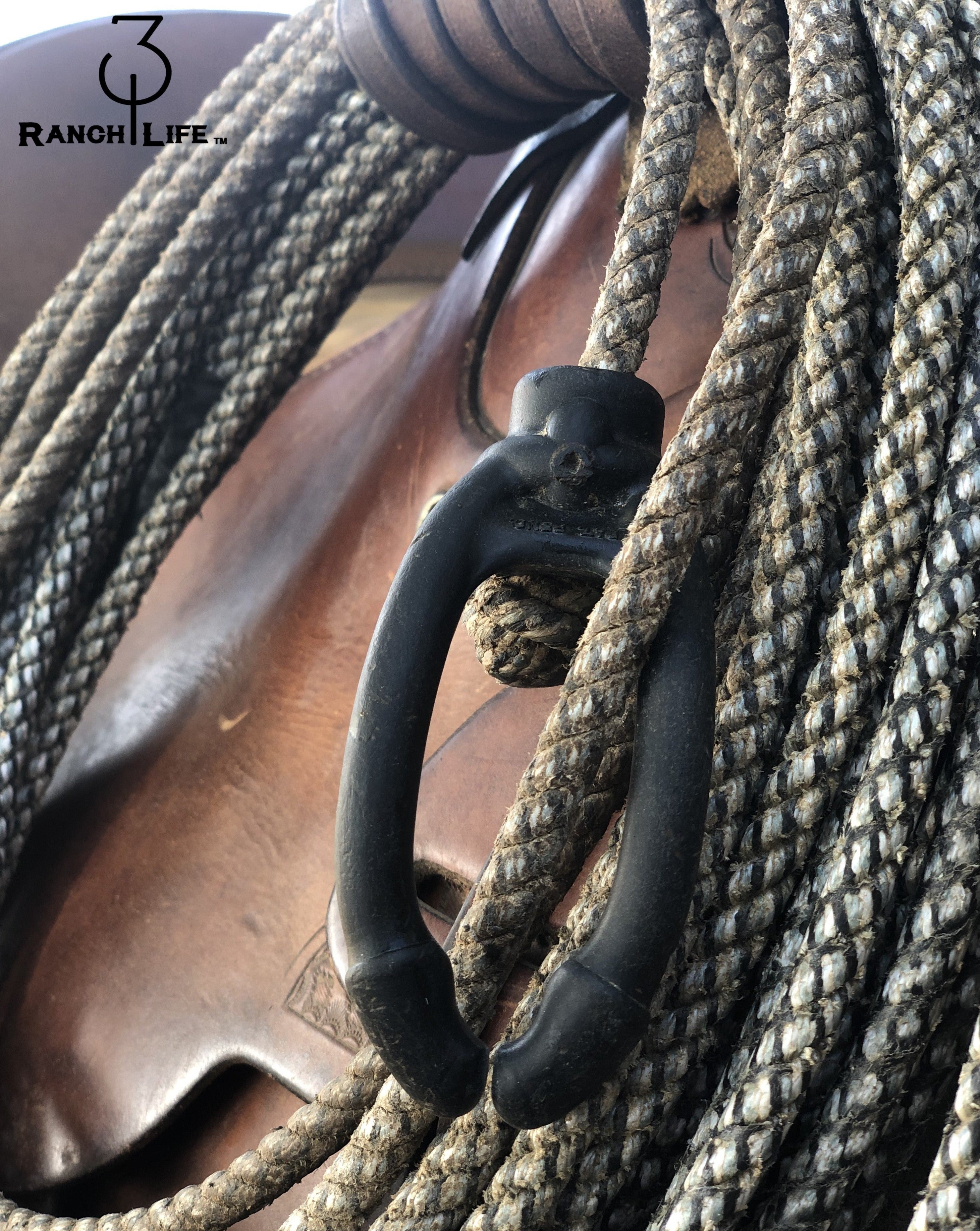 Hondas & Breakaways – Roobuck Nevada